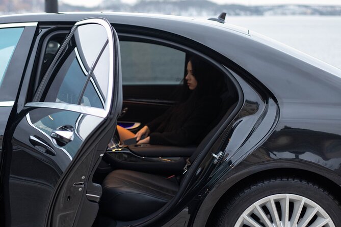 Cruise port VIP Transfer : Cruise port to Arlanda Airport 1-3 passenger - What You Can Expect During the Transfer