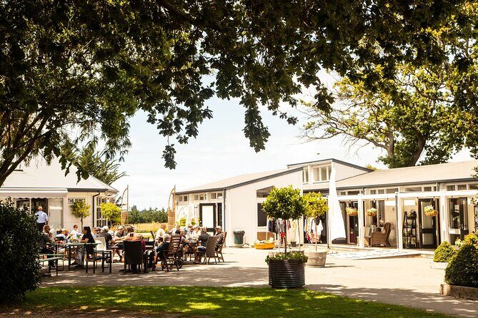 CRUISE SHIP DAY LYTTELTON Hop On Hop Off Wine Tours to Waipara - An In-Depth Look at the Waipara Hop On Hop Off Experience