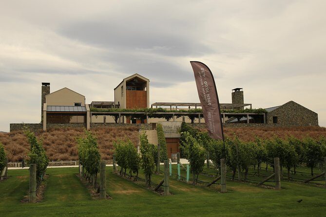 CRUISE SHIP DAY Marlborough Hop On Hop Off Wine Tours - An In-Depth Look at the Marlborough Hop On Hop Off Experience