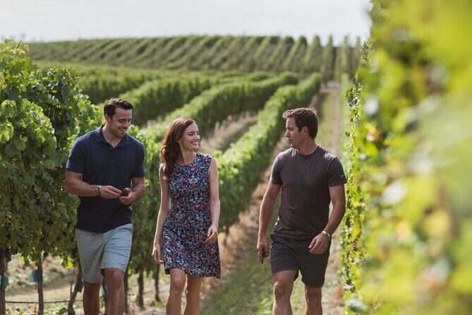 CRUISE SHIP DAY Marlborough Hop On Hop Off Wine Tours - Final Thoughts