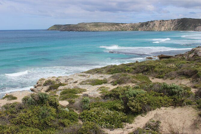 Cruise Ship Dudley Peninsula Tour - Analyzing the Value and Practicalities
