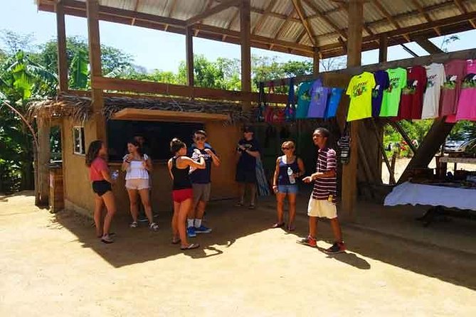 Cruise Ship Family Chocolate Factory, Sloths & Monkeys, Beach, Transportation - What to Expect