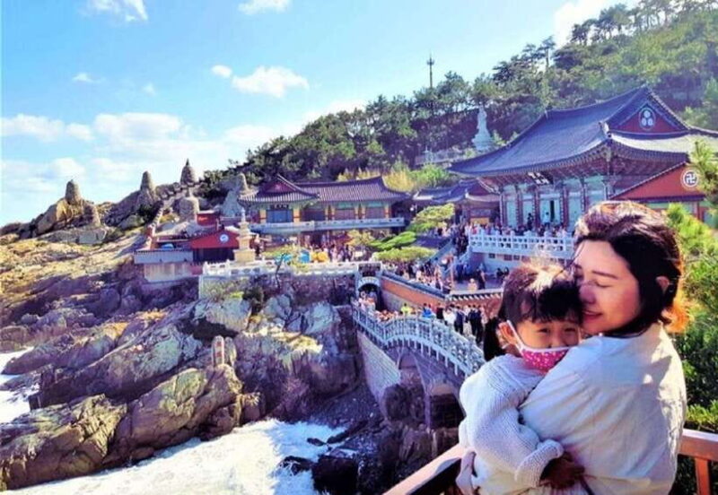 Cruise Ship Guests'Shared Tour in Busan for Up to 6 people - Key Points