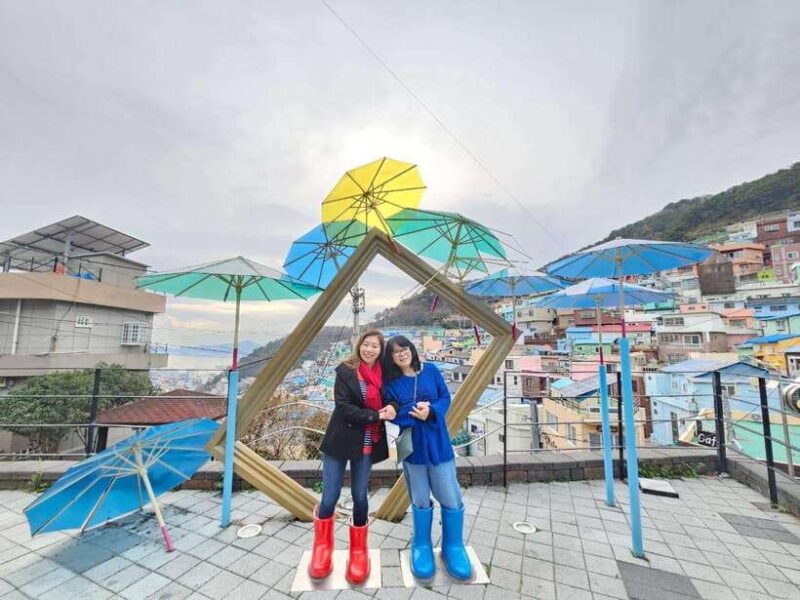 Cruise Ship Guests'Shared Tour in Busan for Up to 6 people - A Day in the Life: What to Expect