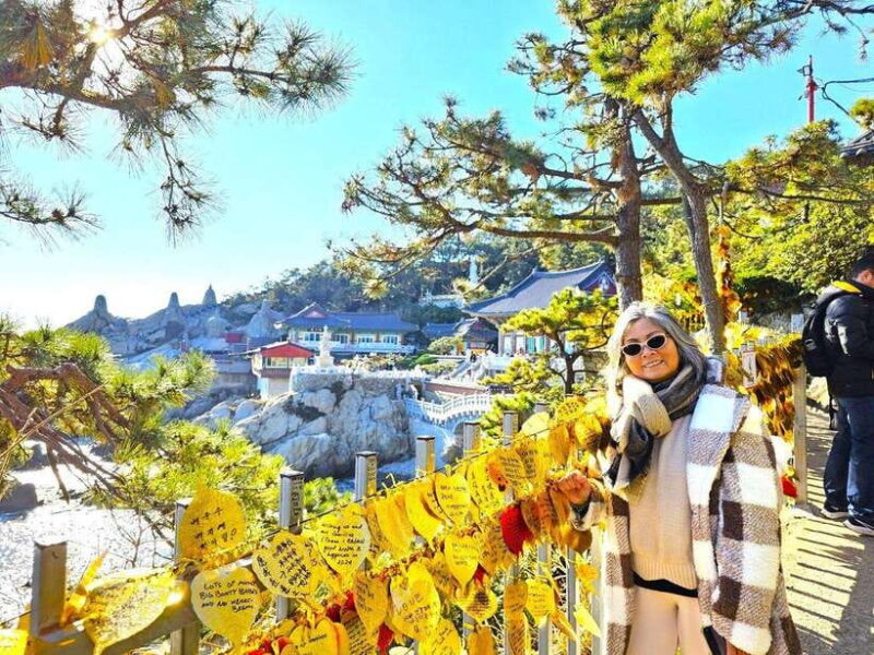 Cruise Ship Guests'Shared Tour in Busan for Up to 6 people - FAQ