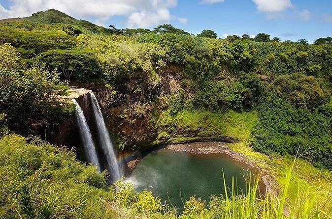 Cruise Ship Shore Excursion: Kauai Movie Sites Tour - Authenticity, Guides, and Small-Group Experience