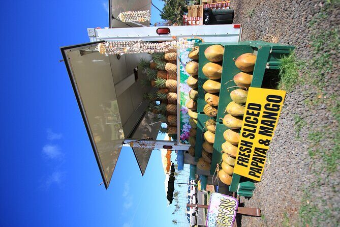 Cruise Ship Shore Excursion: Kauai Movie Sites Tour - Final thoughts on Value and Suitability