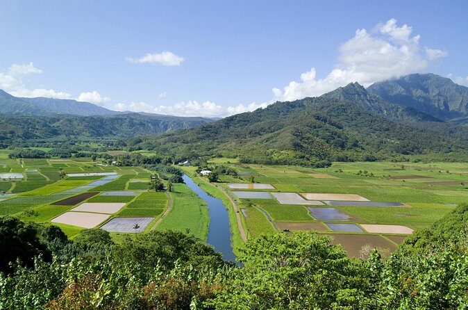 Cruise Ship Shore Excursion: Kauai Movie Sites Tour - Final Words