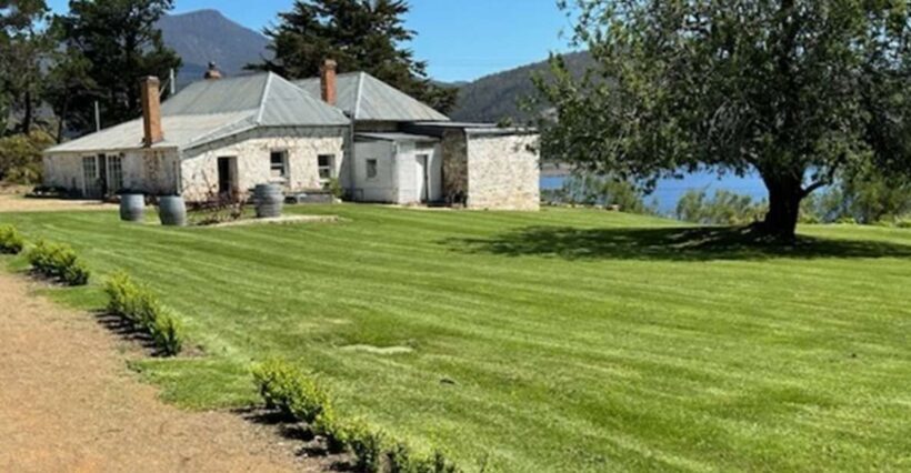 Cruise Ship - Wine Shore Excursion - Hobart - Authentic Experiences and Authenticity