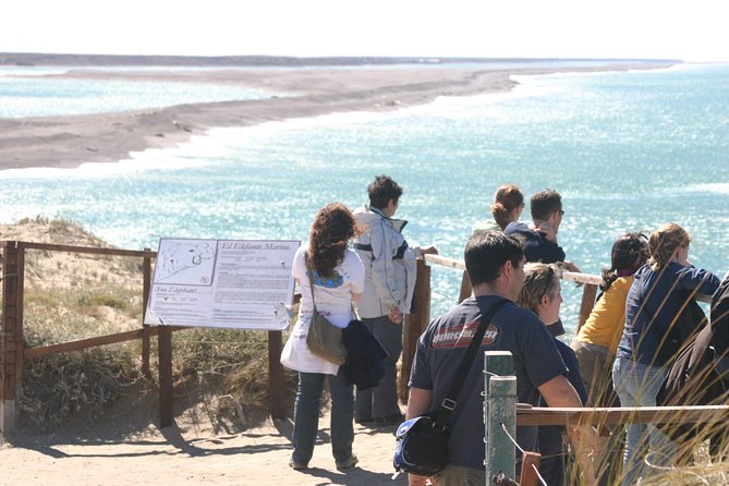 Cruise Shore Excursion Peninsula Valdes - Pto Madryn - Patagonia - Argentina - Exploring the Rich Biodiversity of the Region