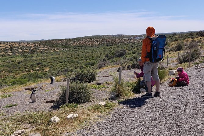 Cruise Shore Excursion Punta Tombo - From Puerto Madryn Patagonia - Meeting and Pickup Information