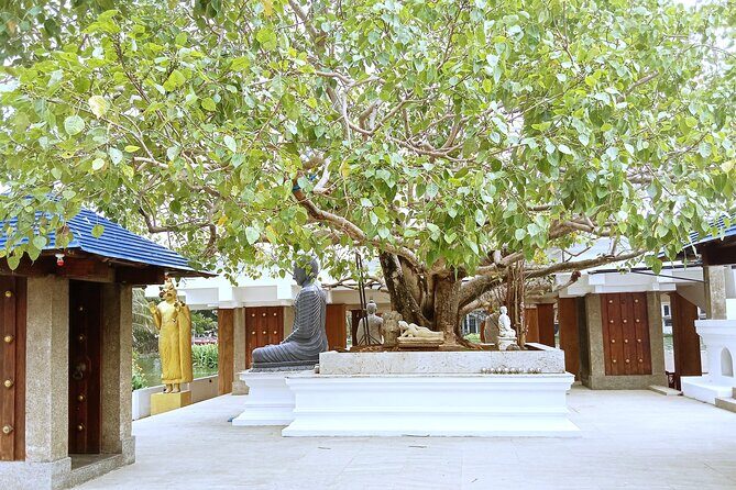 Cruise Stop Tour: Private Colombo City Highlights Trip - The Practicalities