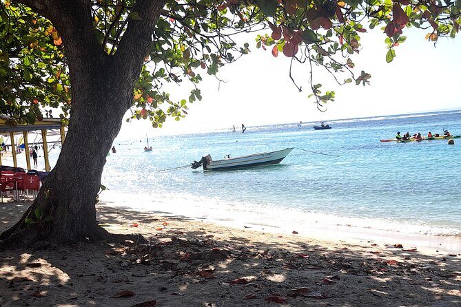 Cruise Stopover at Village Sainte Anne and its Beach - Real Traveler Insights and Experiences