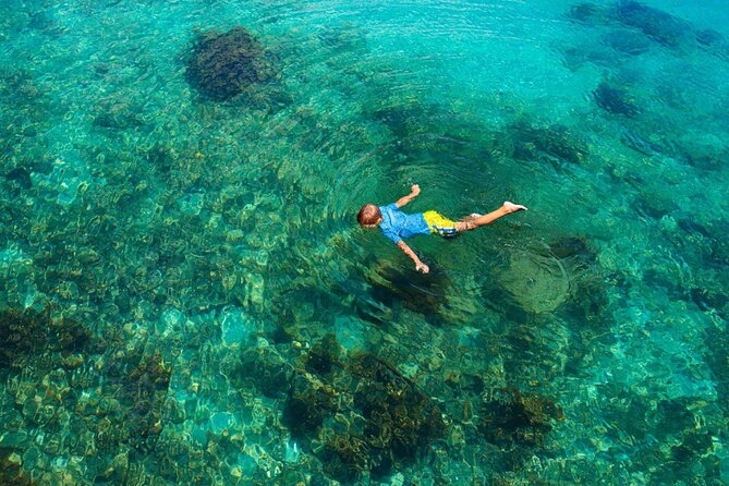 Cruise to Bonifacio and Snorkeling to the Lavezzi Islands - Authentic Traveler Insights