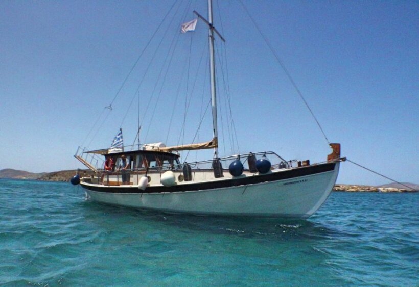Cruise to Rhenia Island with Stop at Ancient Delos - The Practicalities: What You Need to Know