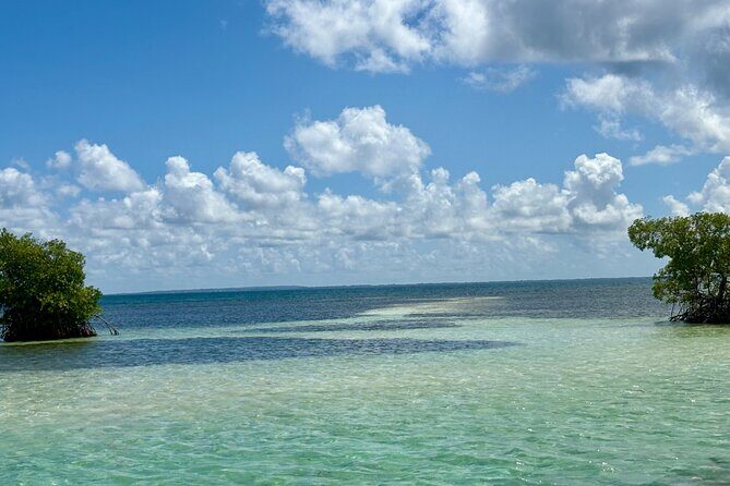 Cruise to the Grand Ass DE Sac in an open air aquarium - An Authentic Guadeloupe Water Adventure