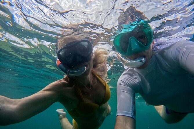 Cruise to the Grand Ass DE Sac in an open air aquarium - Value and Practical Considerations