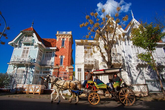 Cruise to the Princes' Islands - Who Should Consider This Tour?