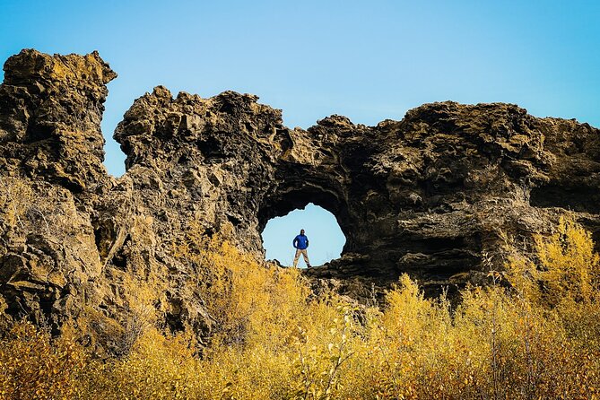 Cruise Tour Godafoss and Myvatn Lake and Dettifoss Small Group - Why This Tour Excels