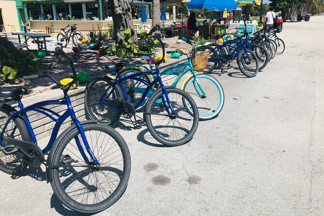 Cruiser Bike Rental at Crandon Park - Exploring Crandon Park and Beyond