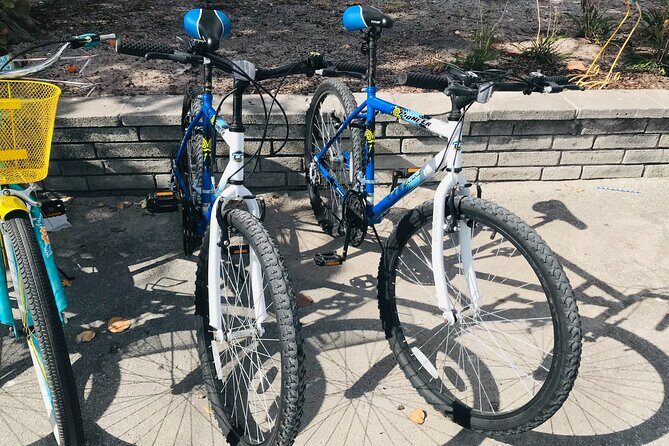 Cruiser Bike Rental at Crandon Park - The Sum Up