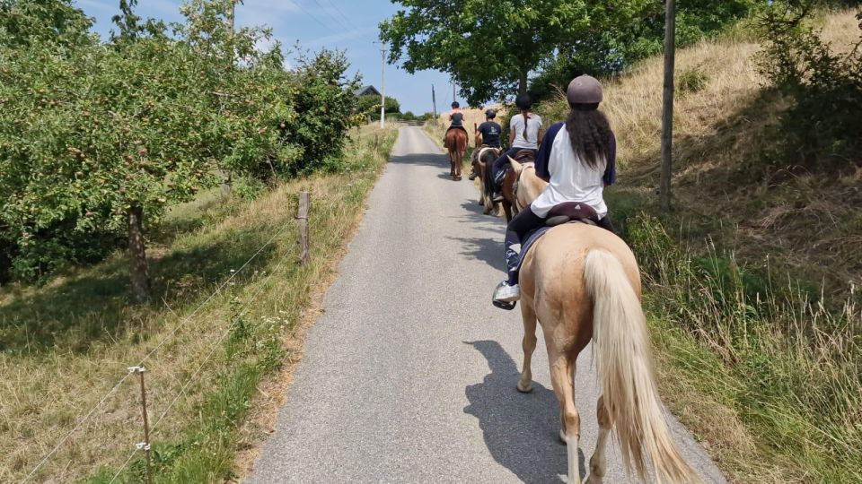 Cruseilles: Horseback Riding in the Countryside - The Value of the Experience