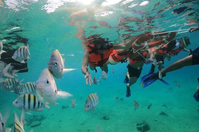 Crystal Boat Tour to San Miguel de Cozumel with Snorkeling - The Sum Up: Who Will Enjoy This Tour?
