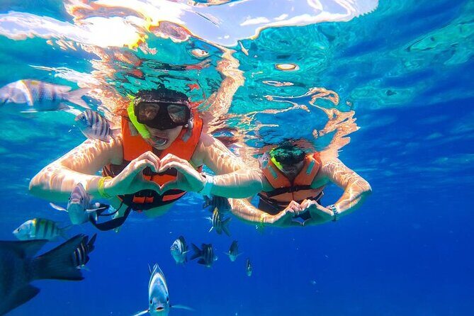 Crystal Boat Trip and Snorkeling Tour from Cozumel - The Sum Up: Why This Tour Excels