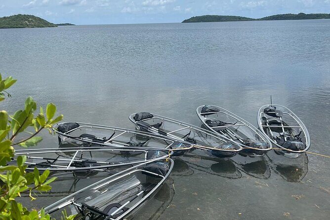 Crystal Kayak & Snorkel Eco Tour (with transfer) - What to Expect on the Tour