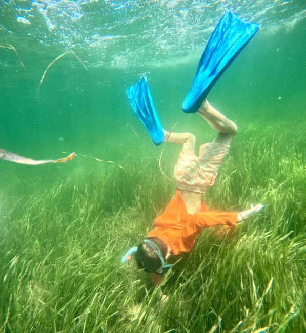 Crystal River: All Inclusive Premier Scalloping Tour - A Practical Look at the Experience