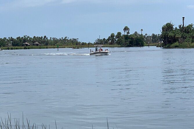 Crystal River Boat Tour - What We Love About This Tour