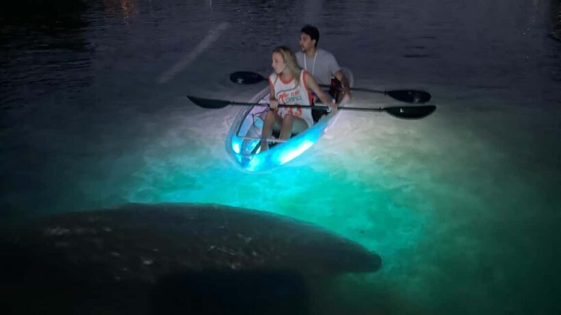 Crystal River: Clear Kayak Sunset & Night Glow Tour - Exploring the Tour Itself