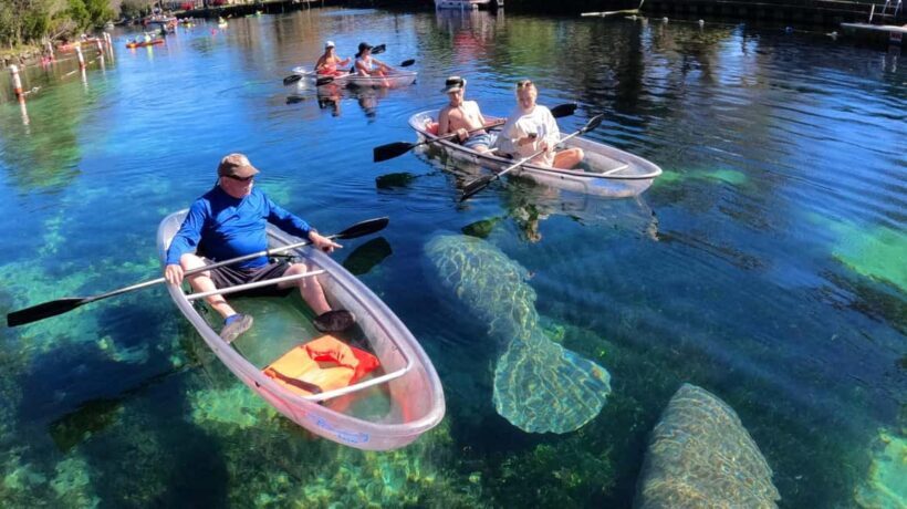 Crystal River: Clear Kayak Sunset & Night Glow Tour - Practical Details