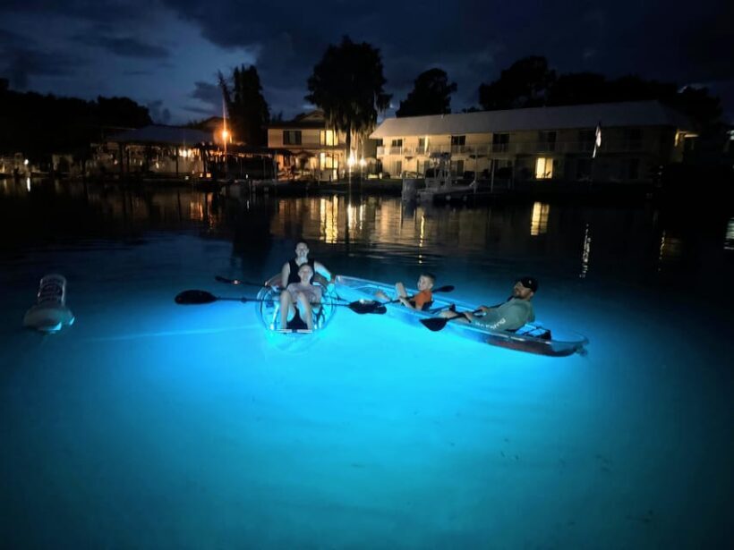 Crystal River Clear Kayak Sunset & Night Glow Tour - Wildlife and Guide Expertise