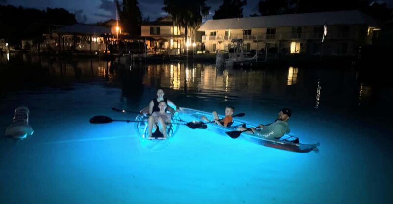 Crystal River Clear Kayak Sunset & Night Glow Tour - Who Will Enjoy This Tour?