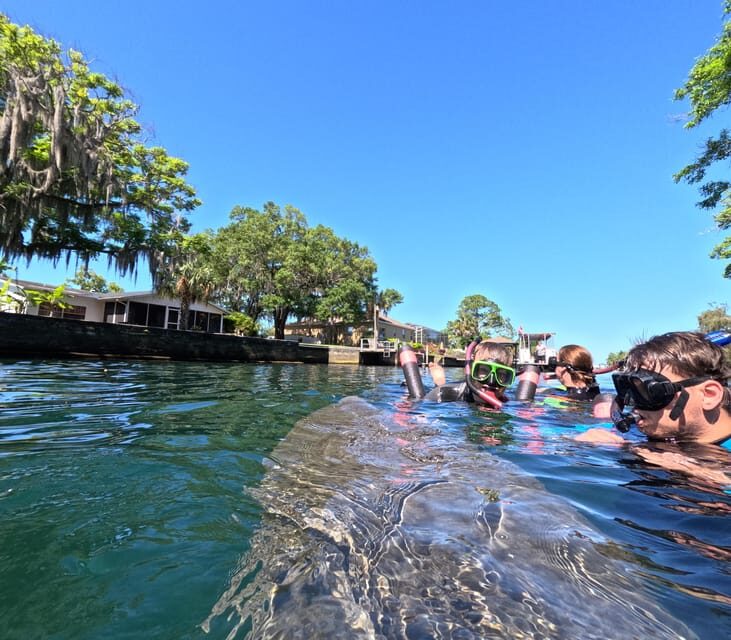 Crystal River: Guided Manatee Snorkeling Tour - What You Can Expect from the Tour
