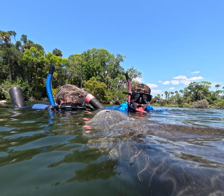 Crystal River: Guided Manatee Snorkeling Tour - Frequently Asked Questions