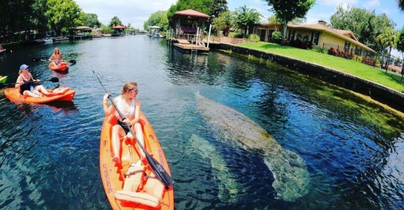 Crystal River: Kayak Rental - An In-Depth Look at the Crystal River Kayak Rental