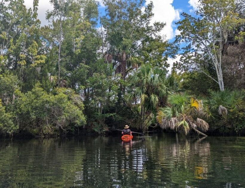 Crystal River: Kayak Rental - The Sum Up