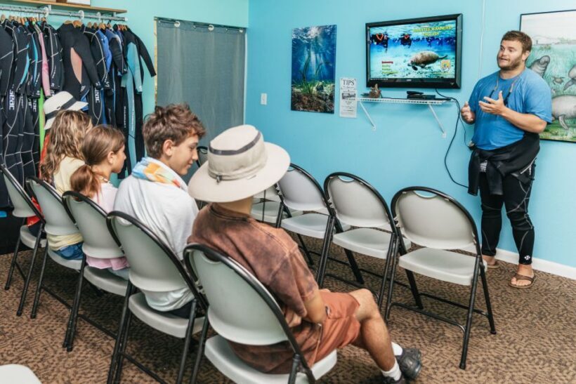 Crystal River: Manatee Snorkel Tour w/ In-Water Photographer - The Photography Bonus