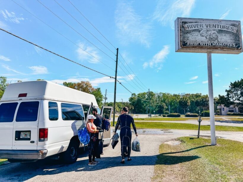 Crystal River: Manatee Snorkel Tour w/ In-Water Photographer - What Past Participants Say