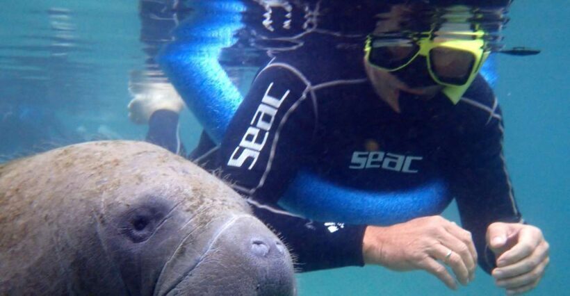Crystal River: Manatee Snorkel Tour w/ In-Water Photographer - The Value of the Experience