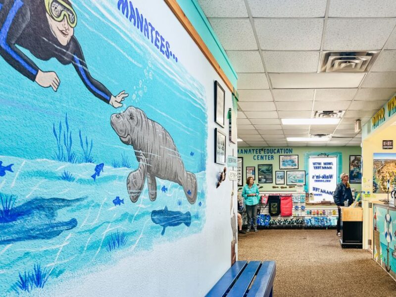 Crystal River: Manatee Snorkel Tour w/ In-Water Photographer - Authentic Feedback from Participants