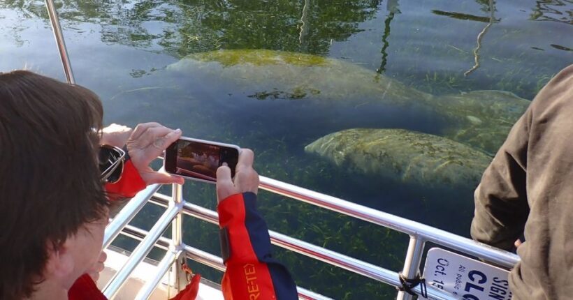 Crystal River: Manatee Swim Group Tour - Who Should Consider This Tour?