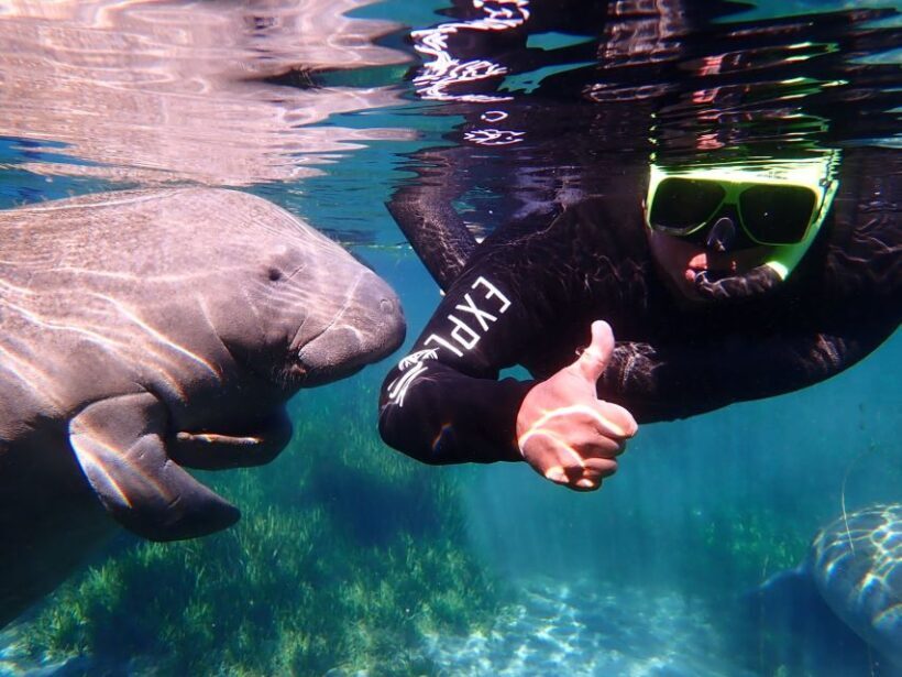 Crystal River: Manatee Swim Group Tour - FAQs about the Crystal River Manatee Swim Group Tour