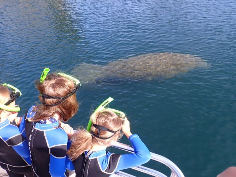Crystal River: Manatee Swim Group Tour - FAQ