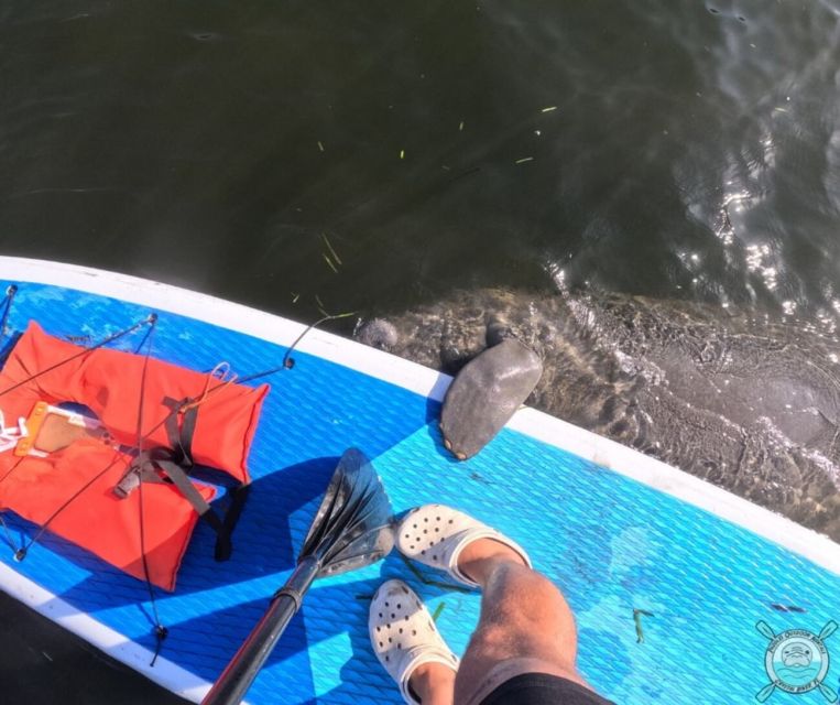 Crystal River: Paddle Board Rental - Who Is This Experience Best For?