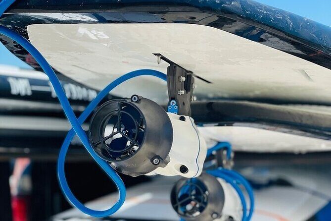 Crystal River Reserve State Park Electric Paddleboard Rentals - Who Should Consider This Tour?