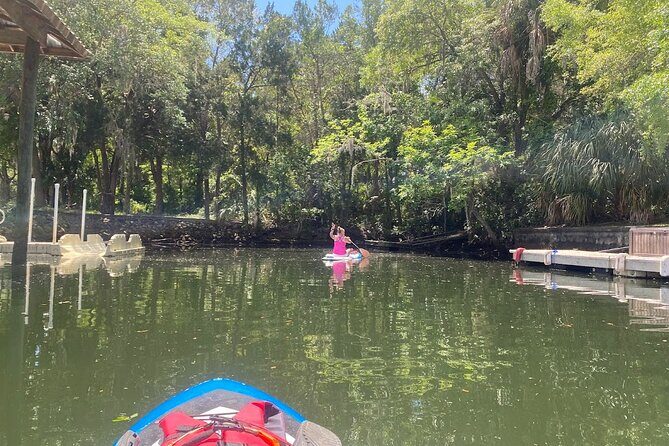 Crystal River Reserve State Park Electric Paddleboard Rentals - Final Thoughts