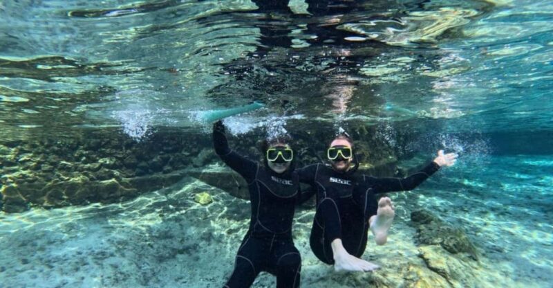 Crystal River: Springs Snorkeling Tour - Pricing and Value